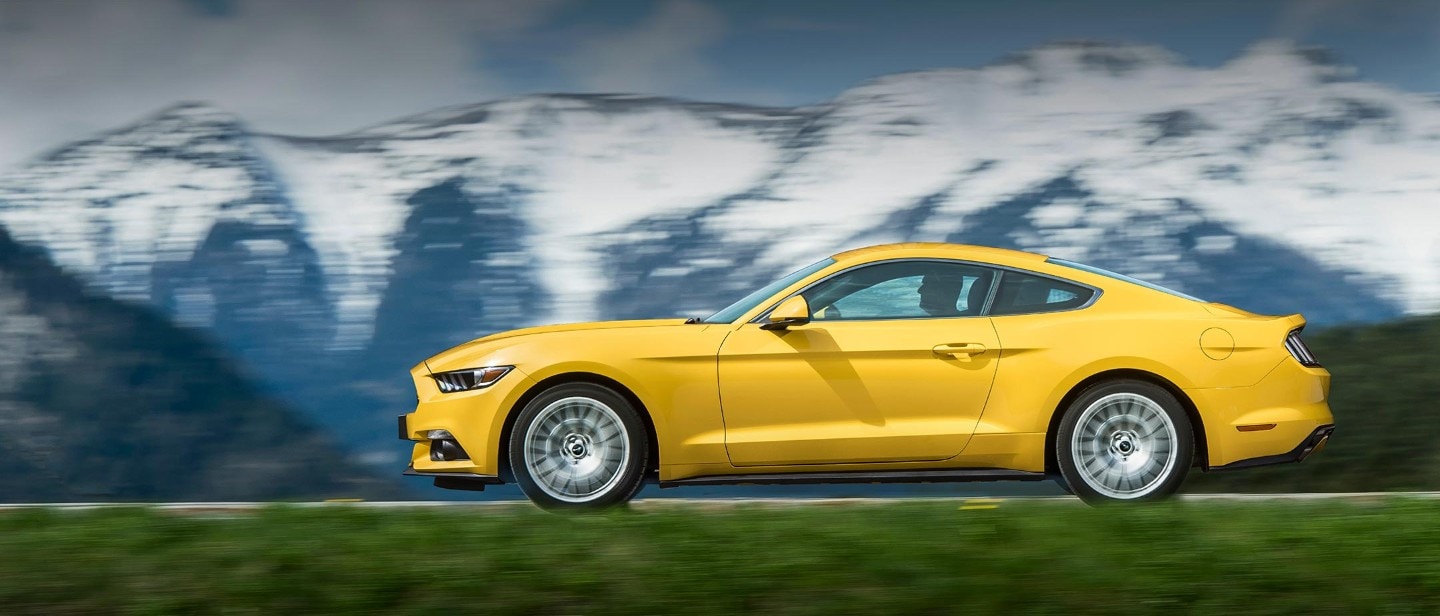 Ford Performance | Ford CH